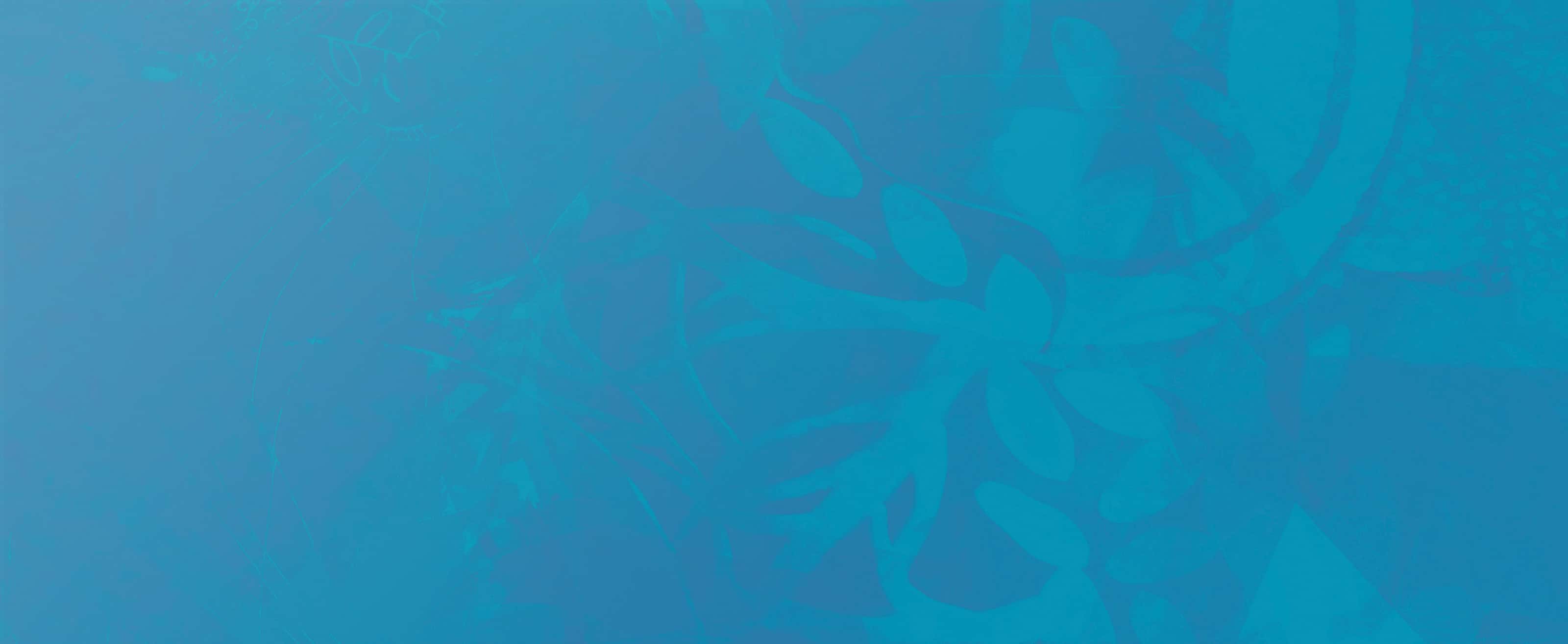 blue-services-bg - Project Harmony